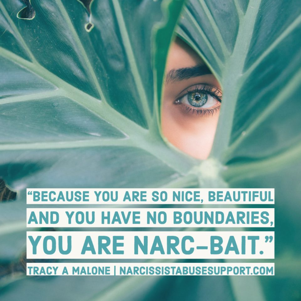 Memes For Sharing! - Narcissist Abuse Support