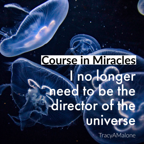 Quotes/Memes Archives - Narcissist Abuse Support