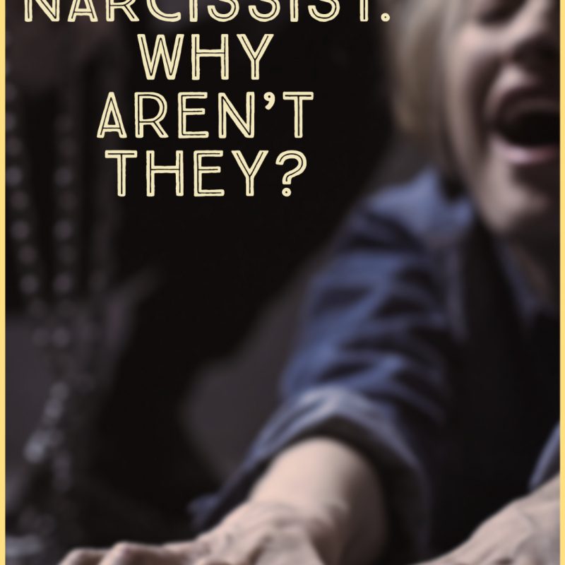 Different Stages Of Victim - Survivor - SurThriver - Narcissist Abuse Support