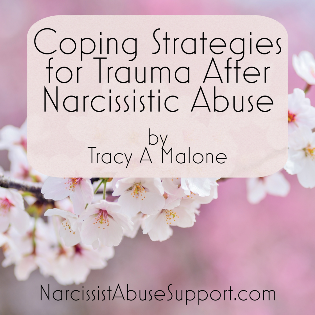 Title Graphic - Narcissist Abuse Support
